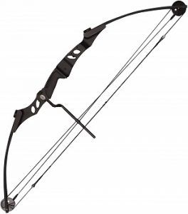 Best 5 Target Compound Bows For Target Shooting 2022 Reviews