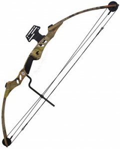 Best 5 Target Compound Bows For Target Shooting 2022 Reviews