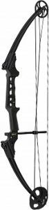 Best 5 Cheap & Budget Compound Bows Under $500 2022 Reviews