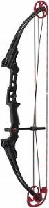 Best 5 Mini & Small Compound Bow You Can Buy In 2022 Reviews