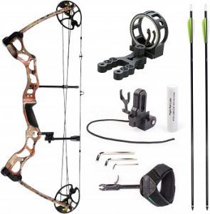 Best 5 Cheap & Budget Compound Bows Under $500 2022 Reviews