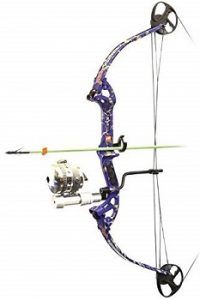 Best 5 Compound Bowfishing Bows & Kits For Sale 2022 Reviews