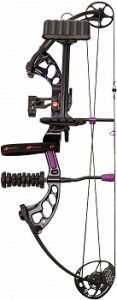 Best 5 Fastest & Highest FPS Compound Bows In 2022 Reviews