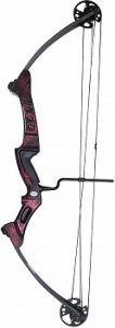 Best 3 Carbon Fiber Compound Bows You Can Buy 2022 Reviews