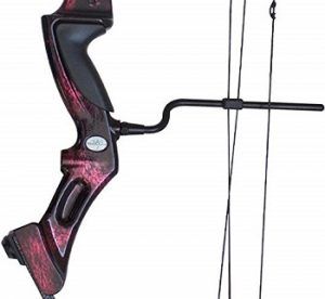 Best 3 Carbon Fiber Compound Bows You Can Buy 2022 Reviews