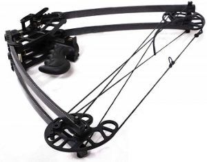 Best 5 Compact & Triangle Compound Bows To Get 2022 Reviews