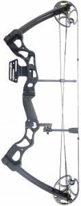 Best 5 Competition Compound Bows You Can Get In 2022 Reviews